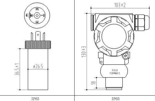 Sanitary Pressure Transmitter|Tri-clamp|Flat membrane-Sino-Instru